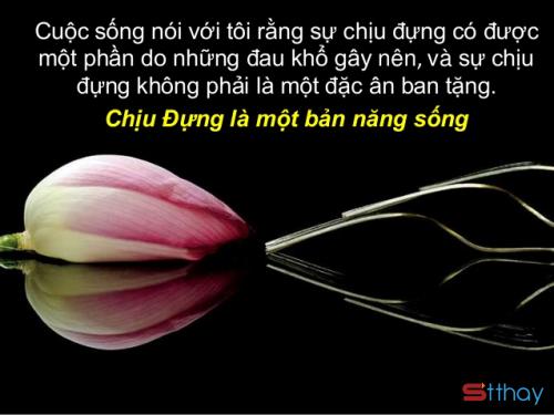 Tuyển Chọn Những Câu Nói Hay Kèm Stt Về Cuộc Đời Đáng Suy Ngẫm GiÚp BẠn